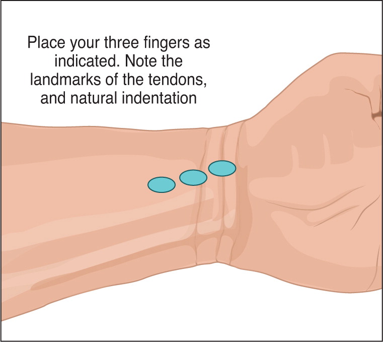 Monitoring pulse in adults – BJN Inform